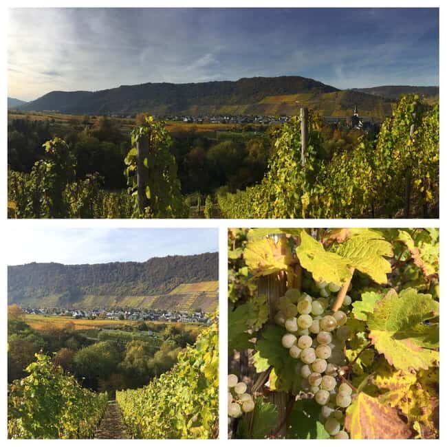 Cochem, Moselle: Wine experience hike with boat trip - Final Thoughts
