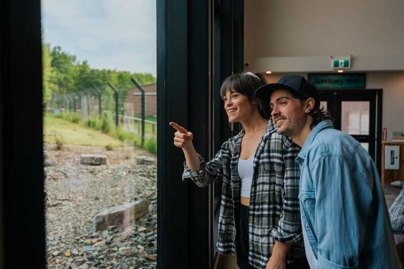 Cochrane: Yamnuska Wolfdog Sanctuary Tour - Final Thoughts