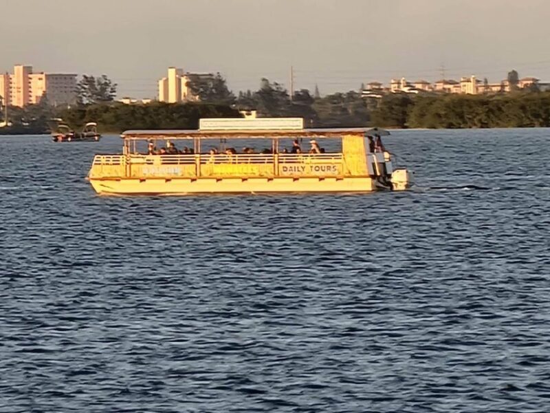 Cocoa Beach Dolphin and Wildlife Tour - Authentic Reviews and Insider Insights