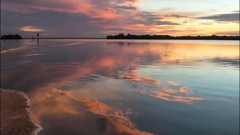 Cocoa Beach: Dolphin & Manatee Pontoon Cruise - Who Will Benefit Most?