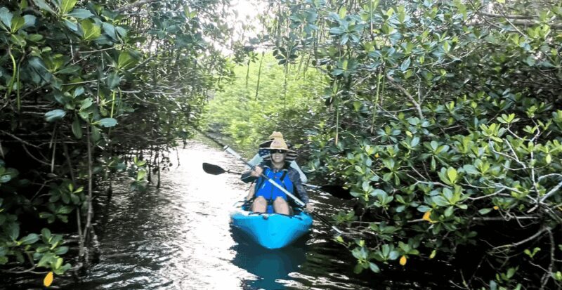 Cocoa Beach/Merritt Island: Guided Dolphin and Manatee Tour - Final Thoughts