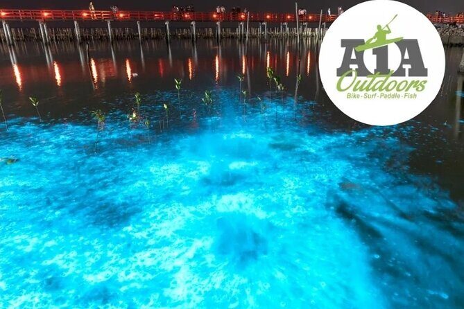 Cocoa Beach Night Time Bioluminescence Kayak Tour - FAQ