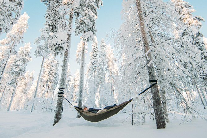 Cocooning in the HaliPuu forest: The ultimate Arctic hammock relaxation - What Makes This Tour a Great Value  