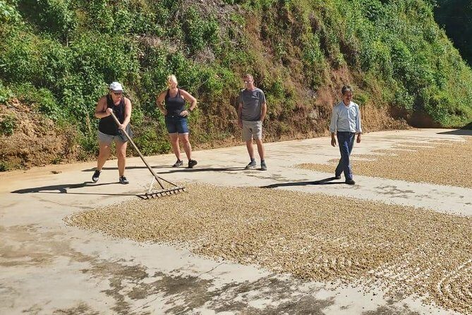 Coffee Plantation Experience - Coffee Plantation Experience Review