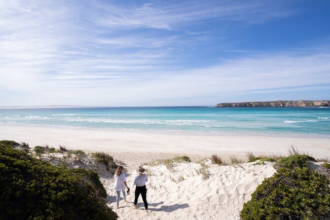 Coffin Bay Day Tour - A Taste of Coffin Bay - What the Itinerary Looks Like in Detail