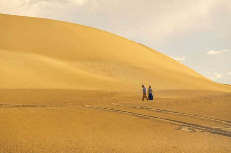 Coffin Bay National Park: Highlights and Off-Road 4WD Tour - An Authentic Off-Road Adventure in Coffin Bay