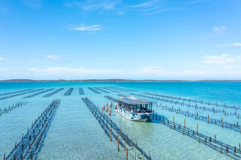 Coffin Bay: Oyster Farm Boat Tour with Wading & 12 Oysters - Who Should Consider This Tour?