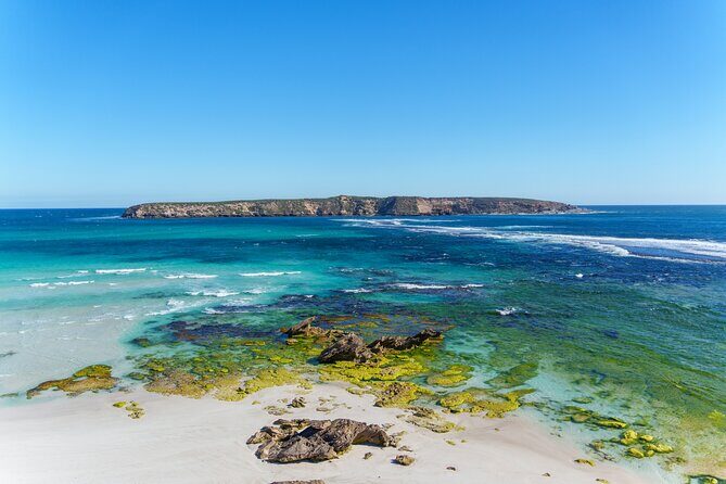 Coffin Bay Tour with Oyster Shucking and Off Road Adventure - The Perfect Blend of Nature and Adventure
