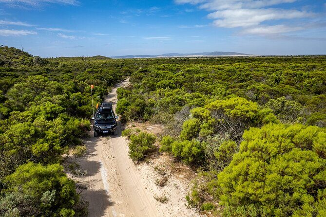Coffin Bay Tour with Oyster Shucking and Off Road Adventure - Who Is This Tour Best For?