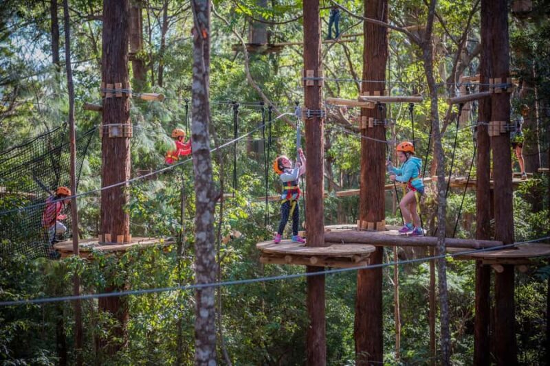 Coffs Harbour: Junior Tree Ropes Course - An In-Depth Look at the Junior Tree Ropes Course in Coffs Harbour