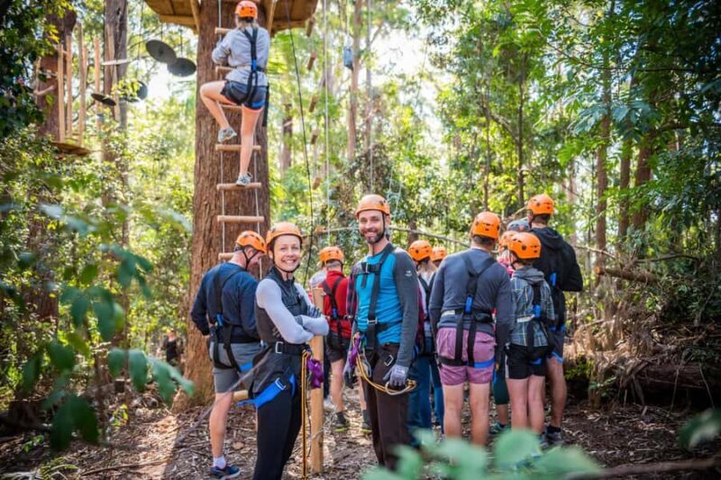 Coffs Harbour: Treetops Adventure Tree Ropes Course - An In-Depth Look at the Treetops Adventure Experience  