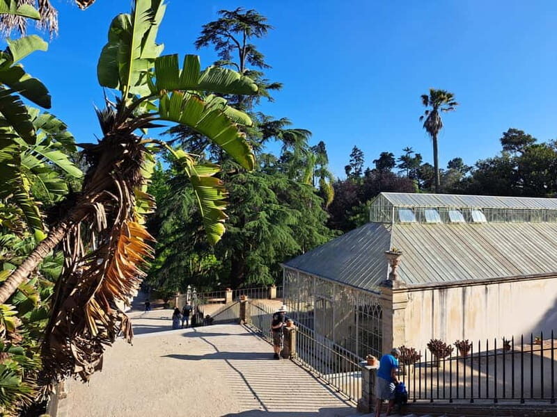 Coimbra: Adventure, Discovery & Learning with a Local - FAQ