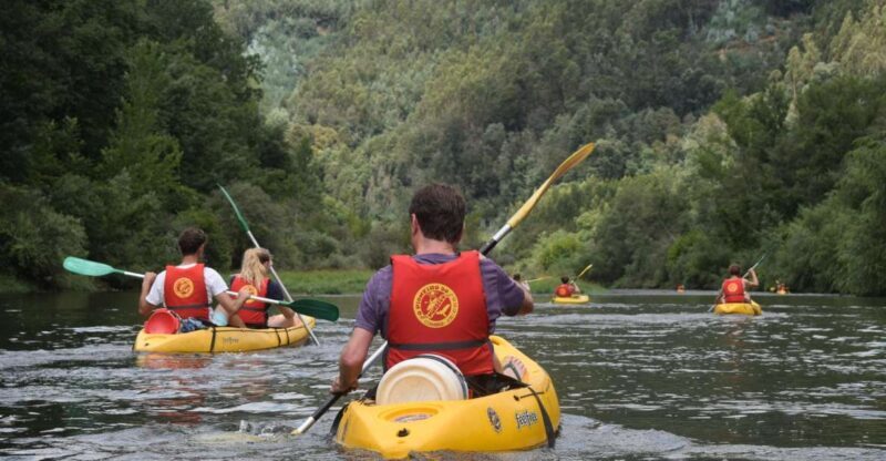 Coimbra: Mondego River Kayaking Tour - Key Points