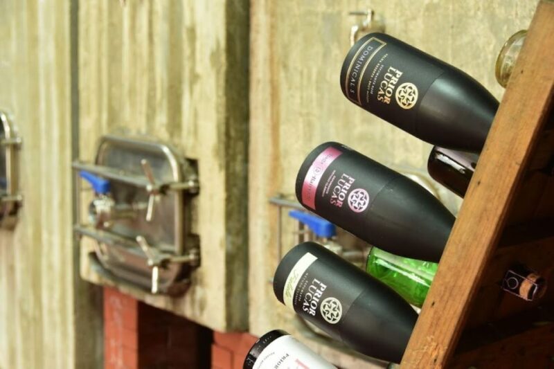 Coimbra: Prior Lucas Wine Experience - The Sum Up