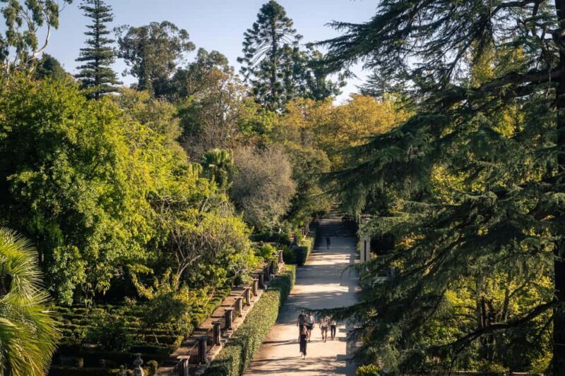 Coimbra: Private & Flexible Walking Tour in Historic Center - Final Thoughts