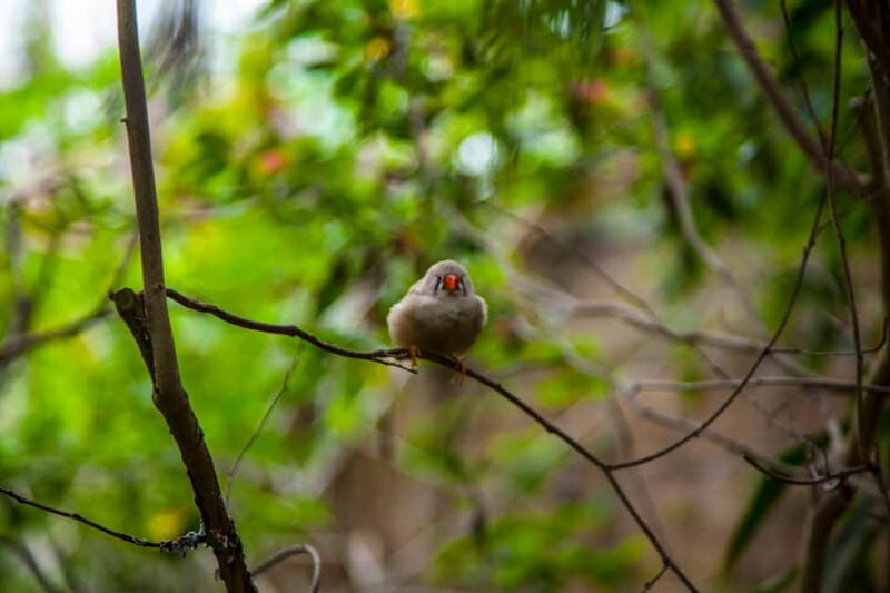 Collodi: Pinocchio Park & Villa Garzoni Grounds Entry Ticket - Who Should Consider This Tour?