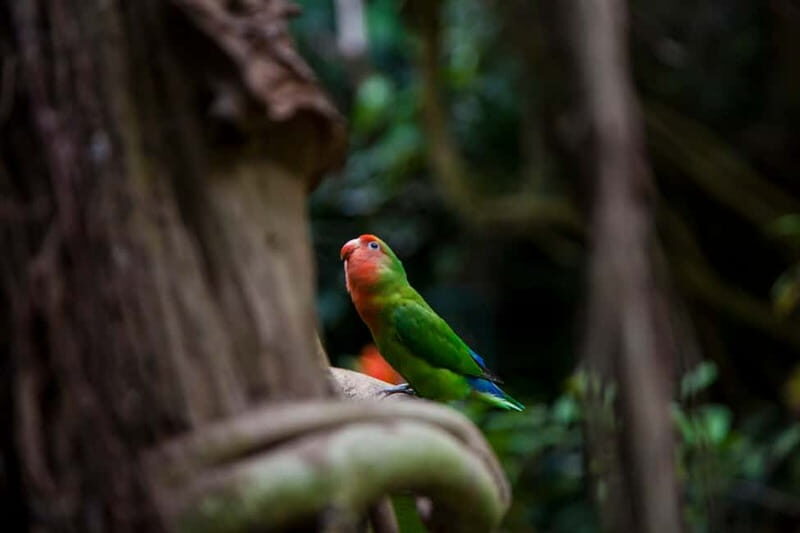 Collodi: Pinocchio Park & Villa Garzoni Grounds Entry Ticket - Final Thoughts