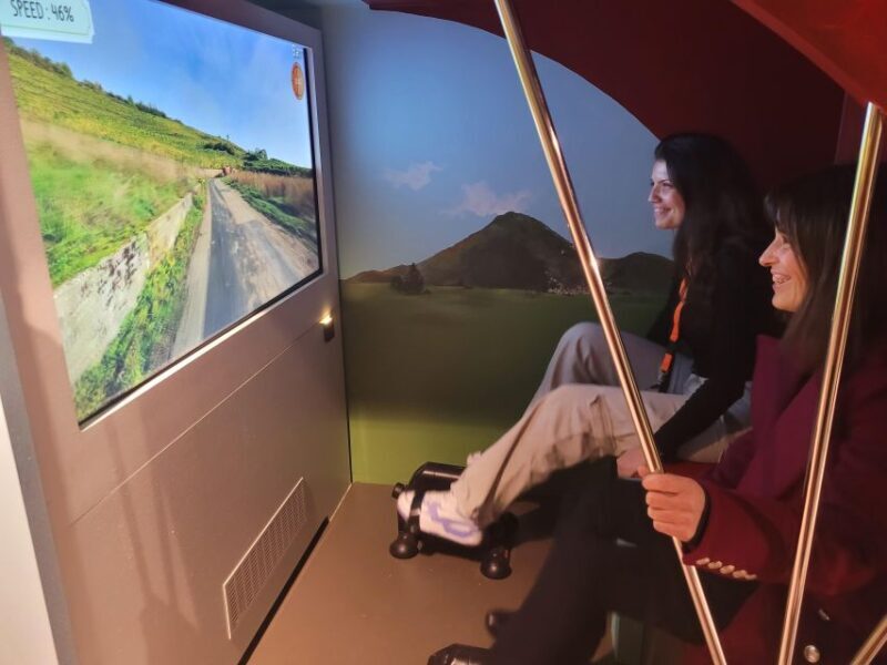 Colmar: Alsace Wine Museum Entrance Ticket - What to Expect at the Alsace Wine Museum