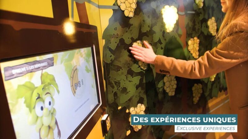 Colmar: Alsace Wine Museum Entrance Ticket - The Sum Up