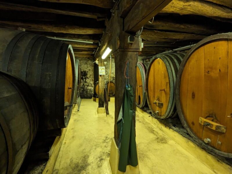 Colmar: Highlights Walking Tour and Wine Tasting - Final Thoughts