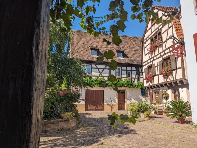 Colmar: Unusual Walking Tour with a local guide - Key Points