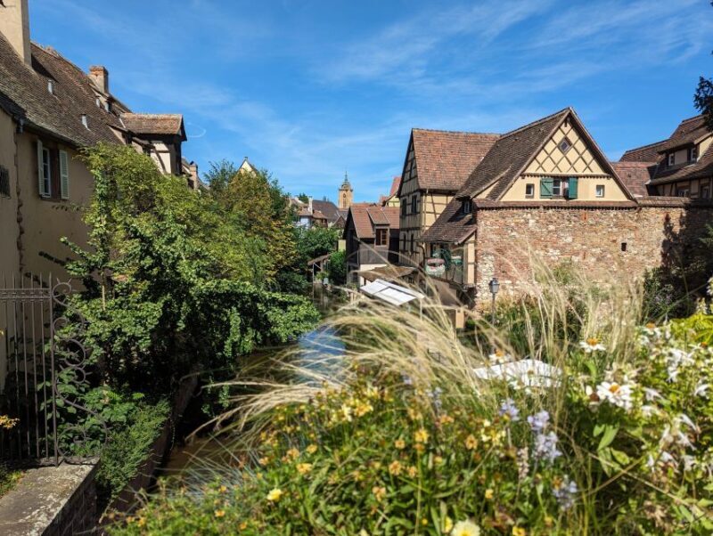 Colmar: Unusual Walking Tour with a local guide - A Well-Rounded Introduction to Colmar