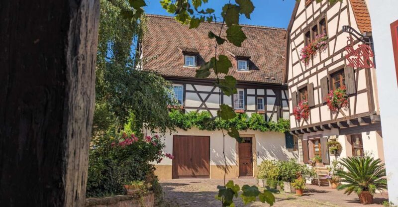 Colmar: Unusual Walking Tour with a local guide - The Value of a Local Guide and Personal Tips