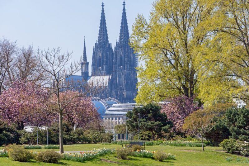 Cologne: City Highlights Segway Tour - What Makes This Tour Stand Out