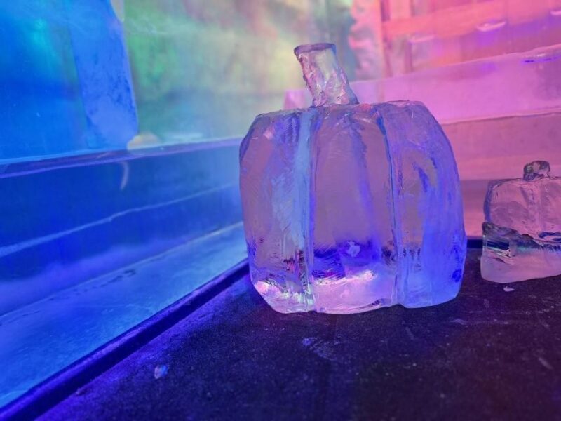 Cologne: IceBar Entry Ticket with Drinks - The Experience: What to Expect at the Cologne IceBar