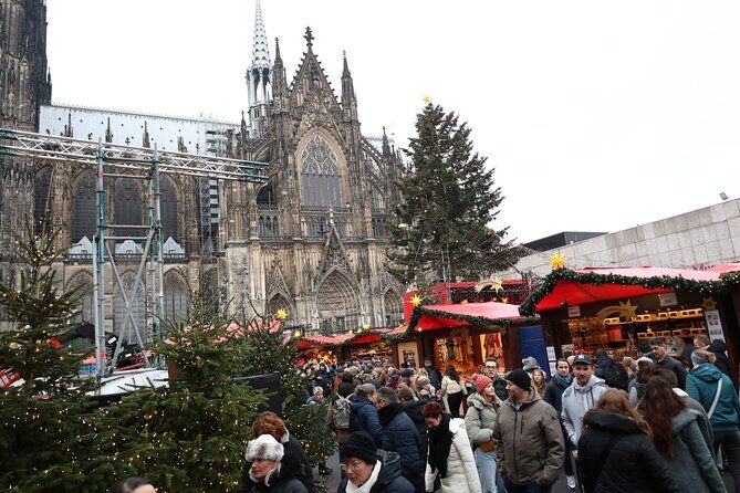 Cologne Small-Group Day Tour from Amsterdam - Transportation & Comfort