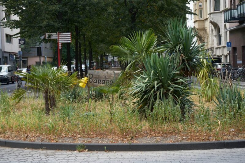 Cologne: Südstadt Guided Foodie Walking Tour - FAQ