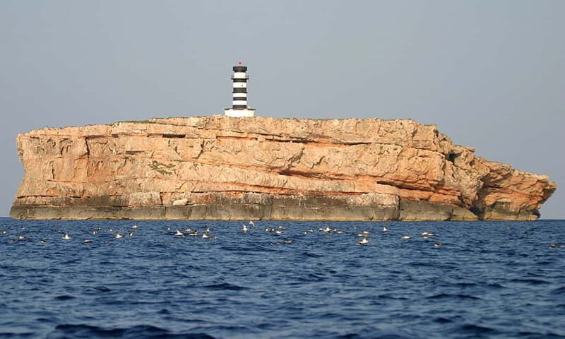 Colonia Sant Jordi: Premium & Fast Boat Tour around Cabrera - Key Points