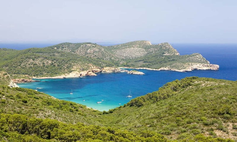 Colonia Sant Jordi: Premium & Fast Boat Tour around Cabrera - Final Thoughts: Is This Tour for You?