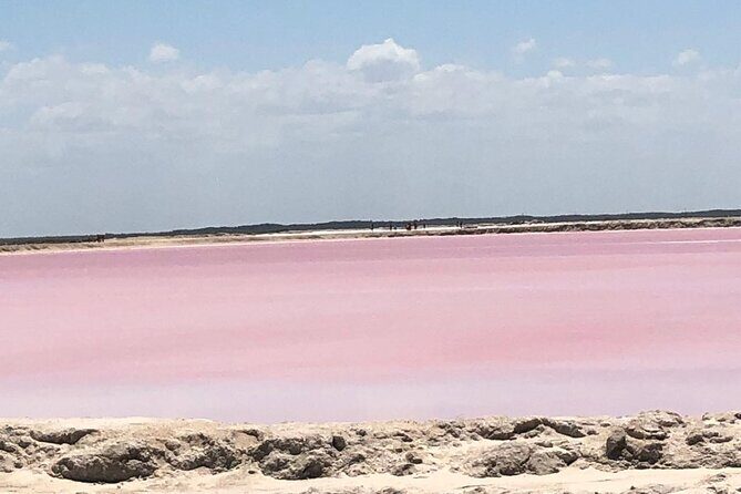 Colonial City of Valladolid, Pink Waters of Las Coloradas and Pink Flamingos - Who Should Consider This Tour?