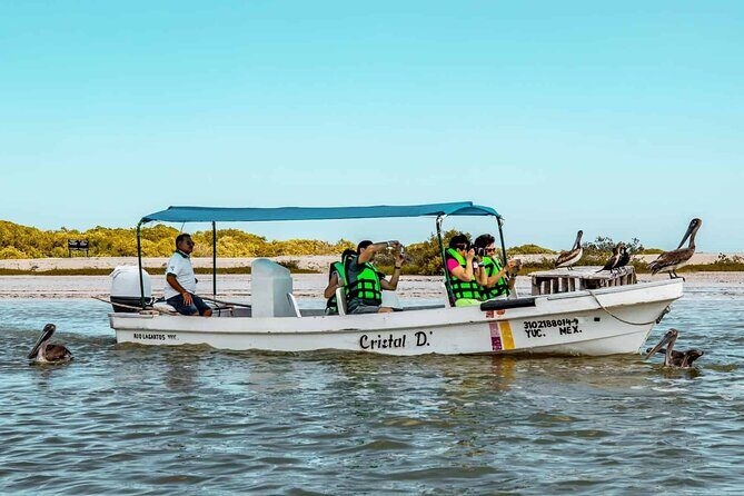 Coloradas Adventure and Cancunito Beach Tour from Merida - The Sum Up