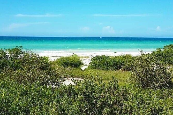 Coloradas Adventure and Cancunito Beach Tour from Merida - FAQ