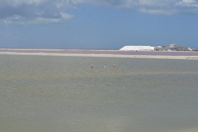 Coloradas Bioexperiences - Discovering the Beauty of Coloradas Bioexperiences: A Detailed Review