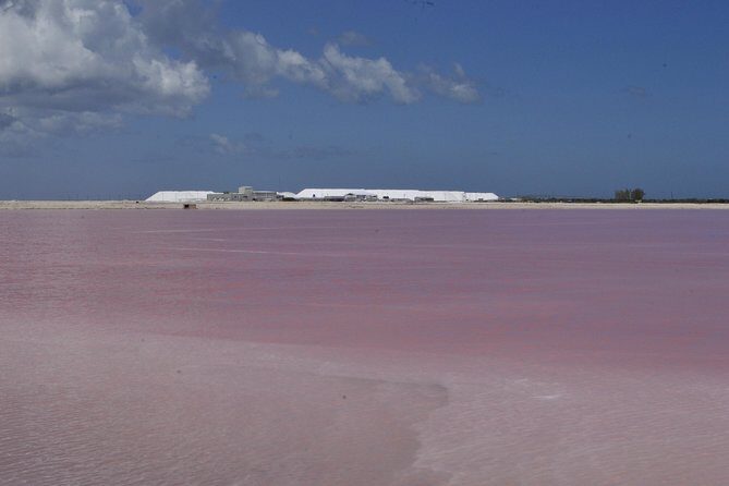 Coloradas Bioexperiences - Final Thoughts: Is This Tour Right for You?