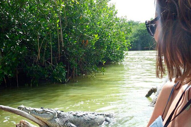 Coloradas, Ria Lagartos Boat Trip & One Natural Beach from Merida - Authentic Experiences and Extra Insights