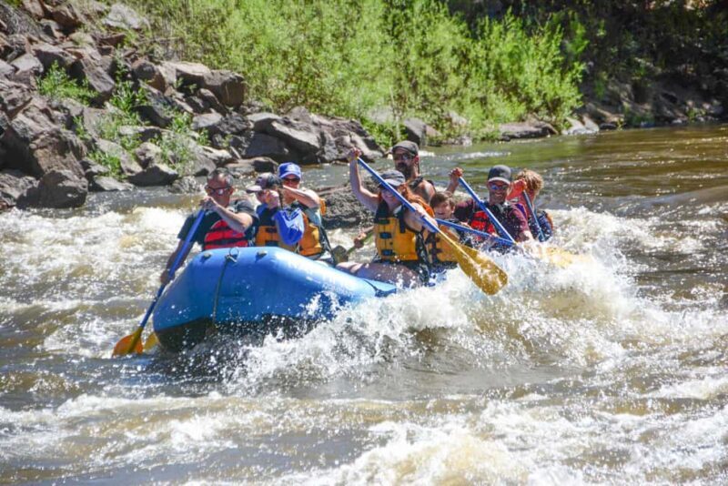 Colorado: Guided Colorado River Rafting Half Day Trip - Safety and Comfort