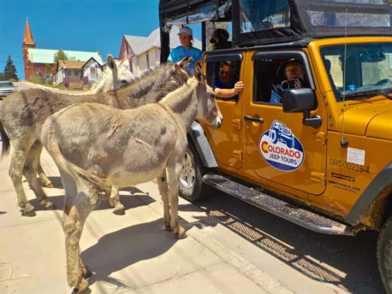 Colorado Jeep Tours - Gold Belt Tour - Practical Details & Value