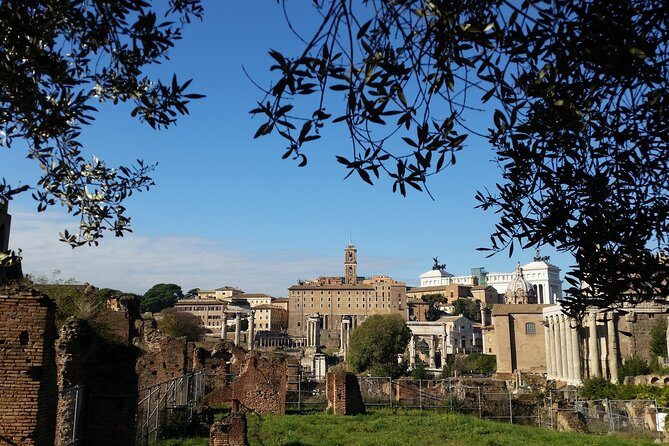 Colosseum and Roman Forum Private Tour led by an archaeologist - FAQs