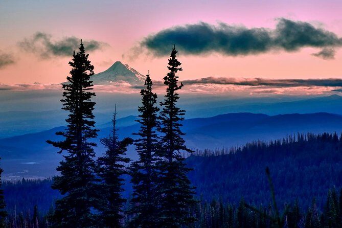 Columbia Gorge Waterfalls & Wineries from Portland: All-Inclusive Afternoon Tour - A Closer Look at the Tour Experience