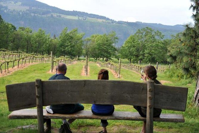Columbia Gorge Waterfalls & Wineries from Portland: All-Inclusive Afternoon Tour - Final Thoughts