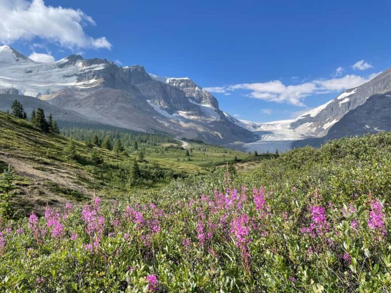 Columbia Icefield: Guided Glacier Hike - A Closer Look at the Columbia Icefield Guided Glacier Hike