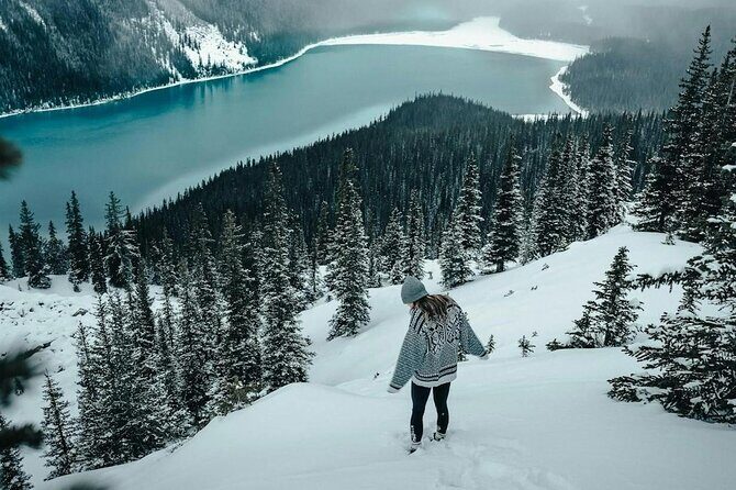 Columbia Icefield Parkway Peyto lake Bow lake Day Trip - Icefields Parkway: The Crown Jewel of Scenic Drives  