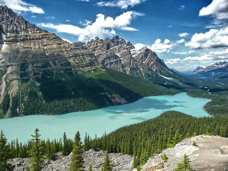 Columbia Icefield, Peyto Lake, Bow Lake Discovery Tour - Price and Value Analysis