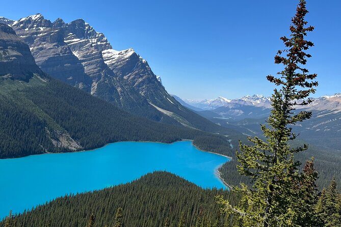 Columbia Icefield Peyto Lake Bow Lake from Calgary Canmore Banff - Who Will Love This Tour?