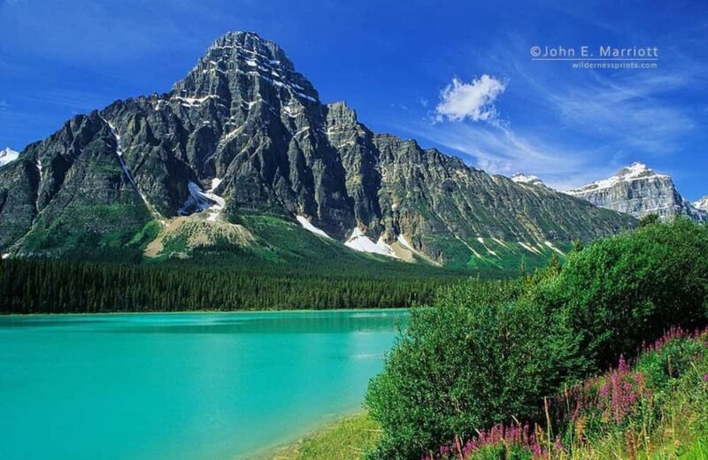 Columbia icefield, Skywalk, Waterfowl, Bow & Peyto Lake Tour - Who Should Consider This Tour?