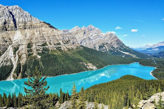 Columbia Icefield,Peyto Lake,Bow Lake Day Trip from Banff/Calgary - Final Thoughts: Who Will Love This Tour?